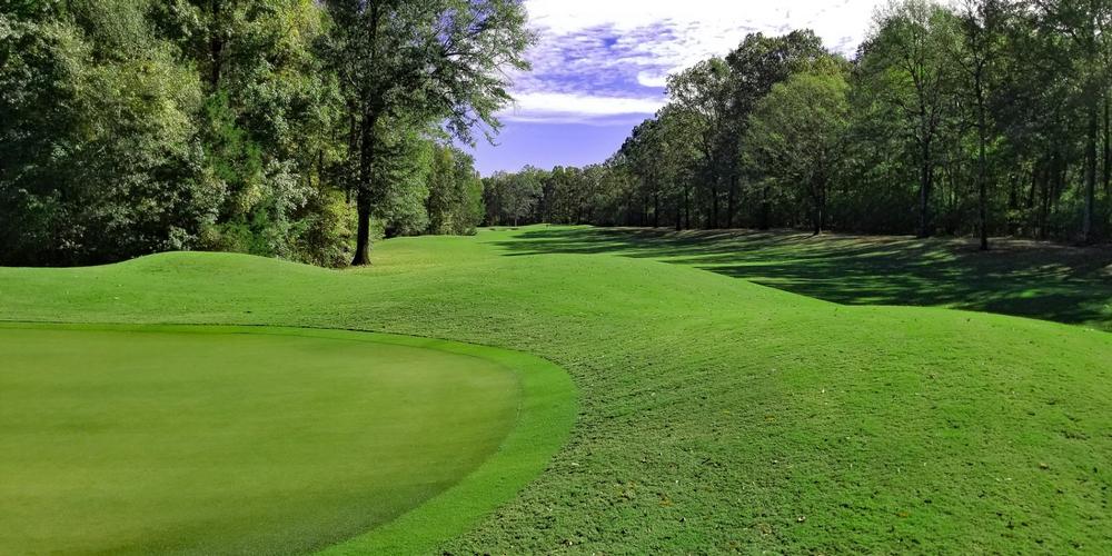 Old Waverly Golf Club By David Theoret